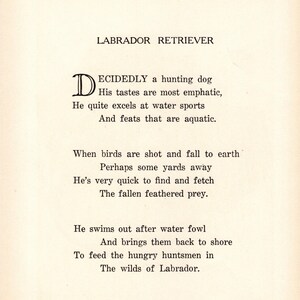 1936 Labrador Retriever Poem Print Vintage Sweet Labrador Retriever Dog ...