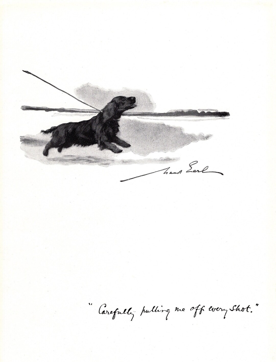 1914 Antique Cocker Spaniel Print Wall Art Decor Hunting Dog Art Maud ...