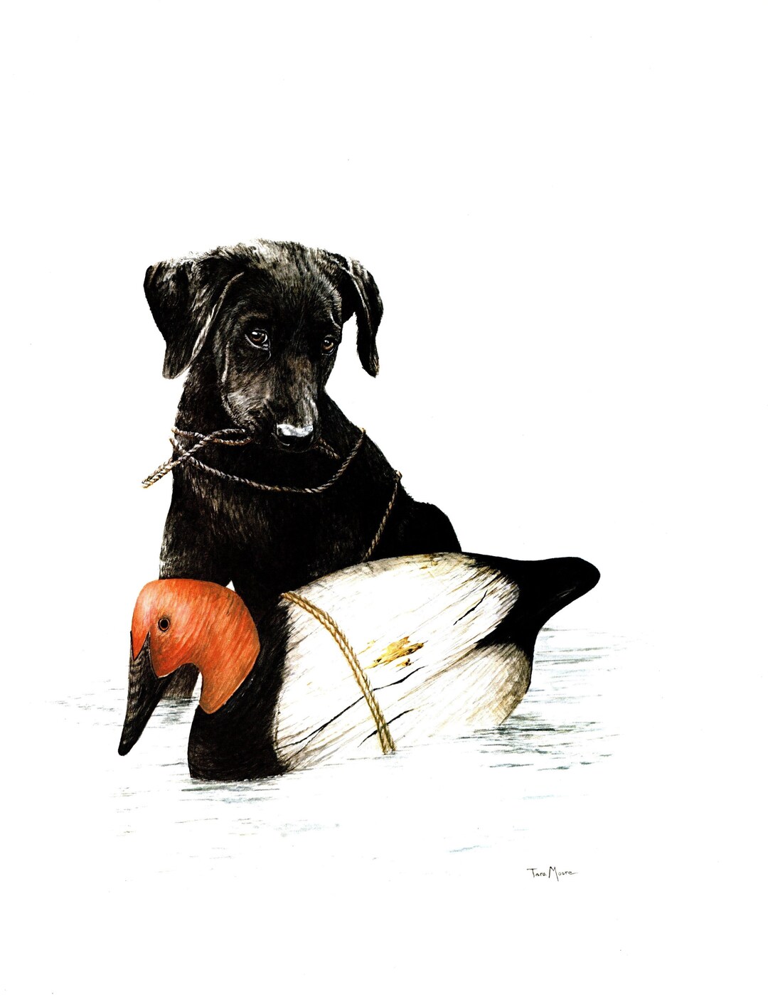 Vintage Labrador Retriever Print Gallery Wall Art Decor Black Lab Puppy ...