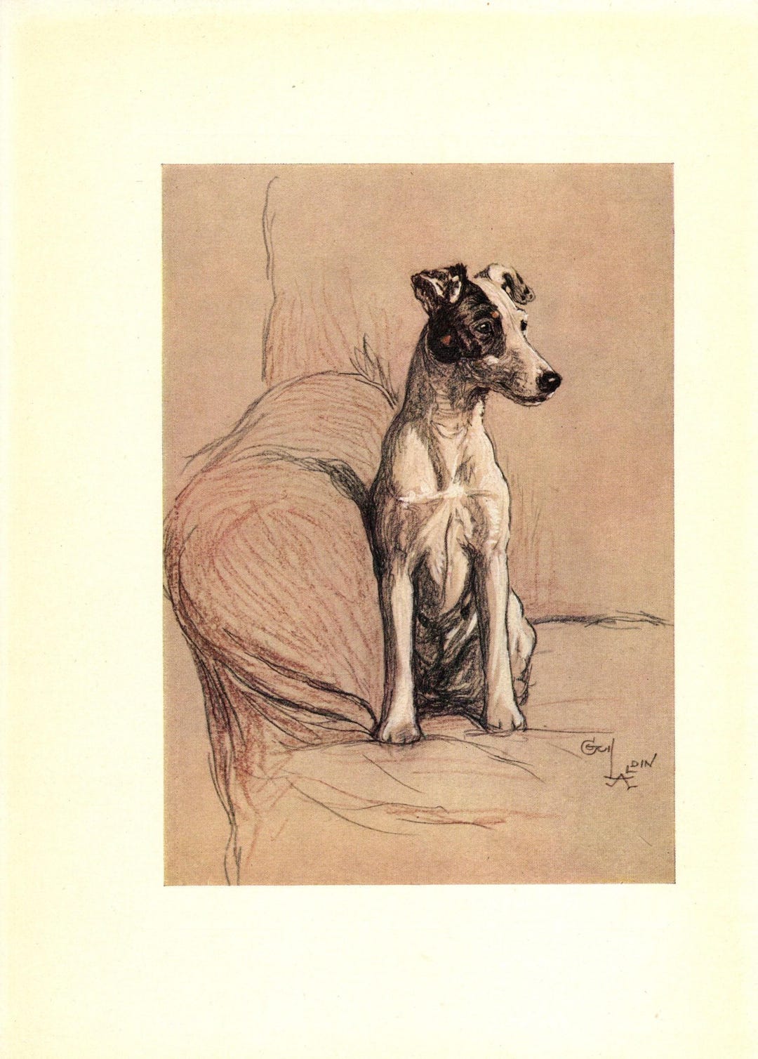 1930 Lovely Fox Terrier Print Gallery Wall Art Decor Cecil Aldin Fox ...