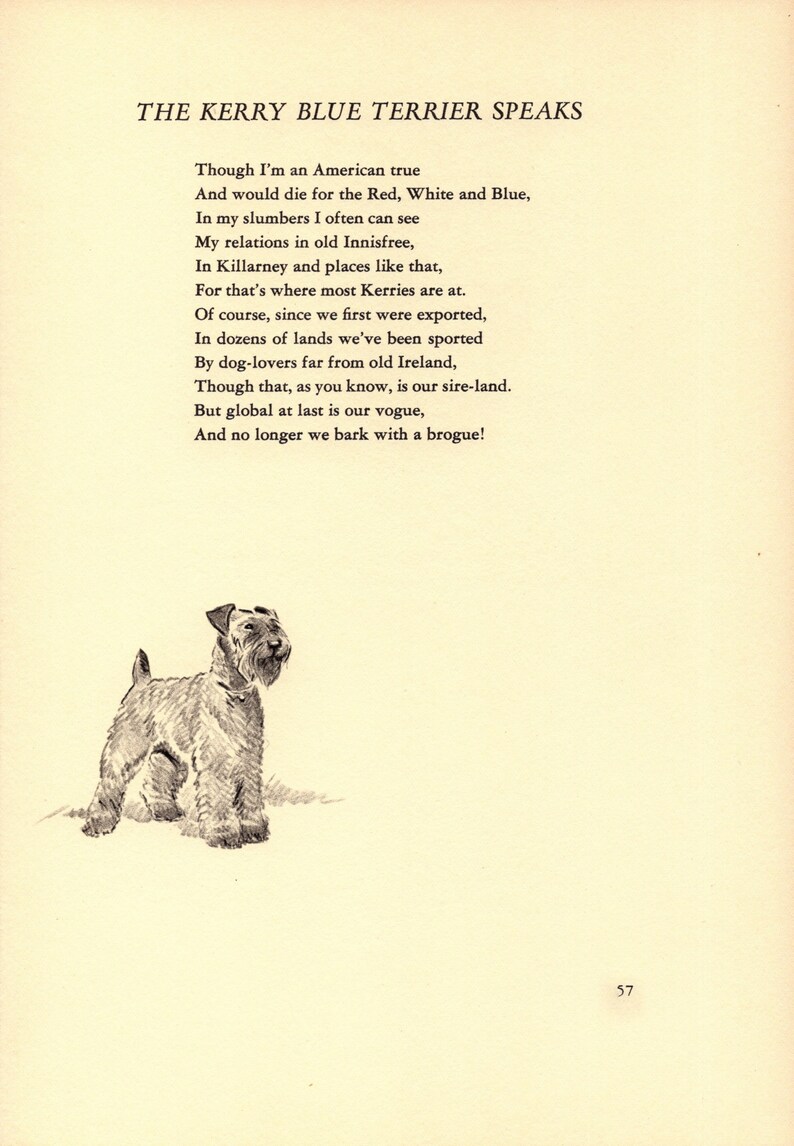 1940s KERRY BLUE Terrier Poetry Print Morgan Dennis Kerry Blue - Etsy