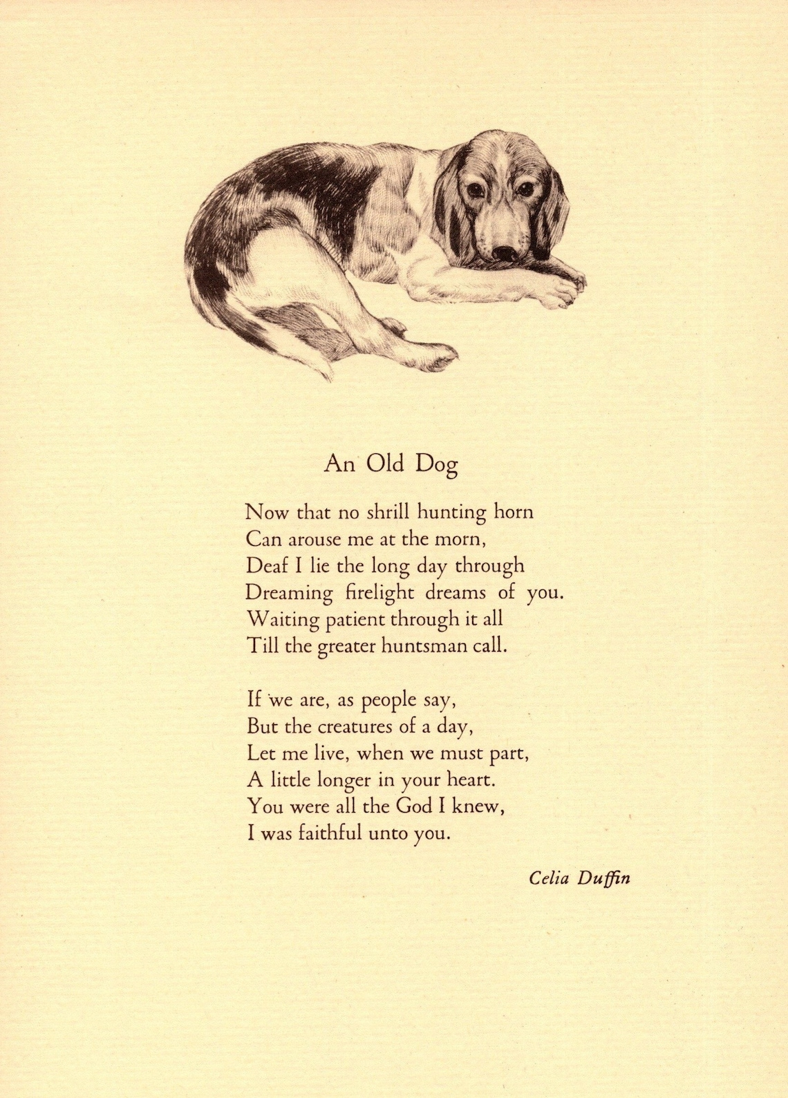 1940s Vintage Beagle Poem Poetry Print Celia Duffin Old Dog - Etsy