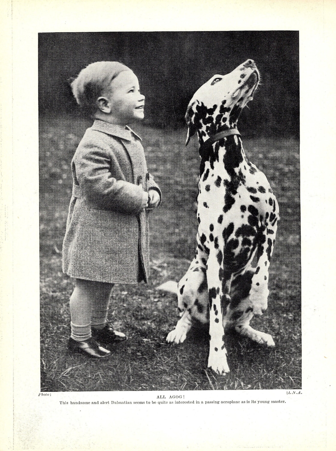 1930's Antique Dalmatian Print Wall Decor Sweet Little Boy and His ...