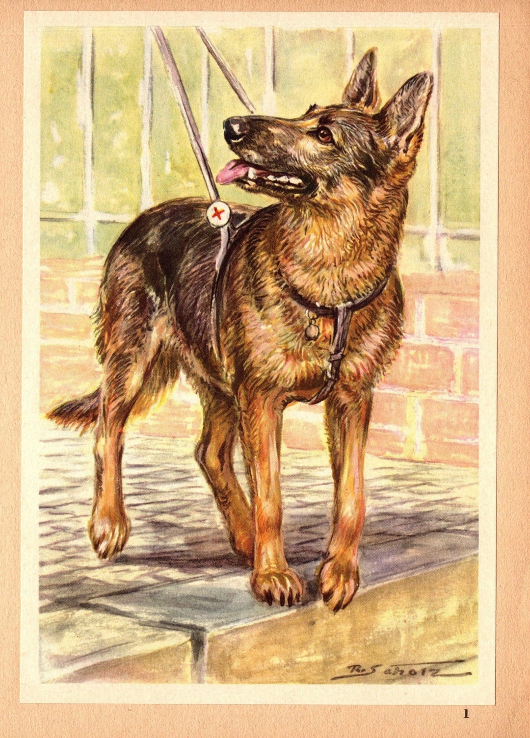 Vintage German Shepherd Print Wall Art Decor Scholz German Shepherd Art ...