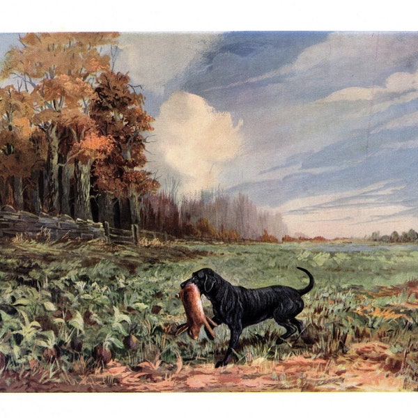Labrador Retriever Hunting Dog Art - Etsy