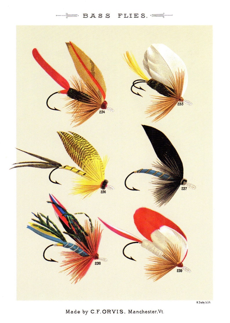 Set of 4 Vintage FLY FISHING Flies Prints Gallery Wall Art | Etsy