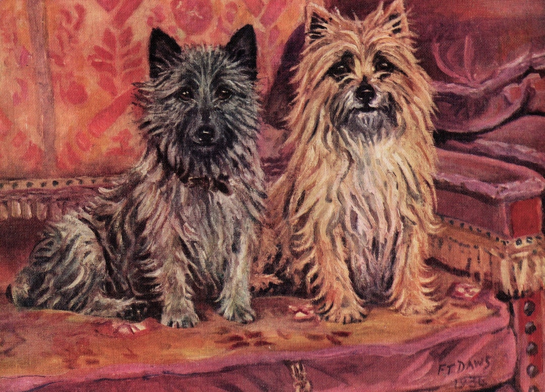 1930's Antique Cairn Terrier Print Wall Art Decor Vintage - Etsy