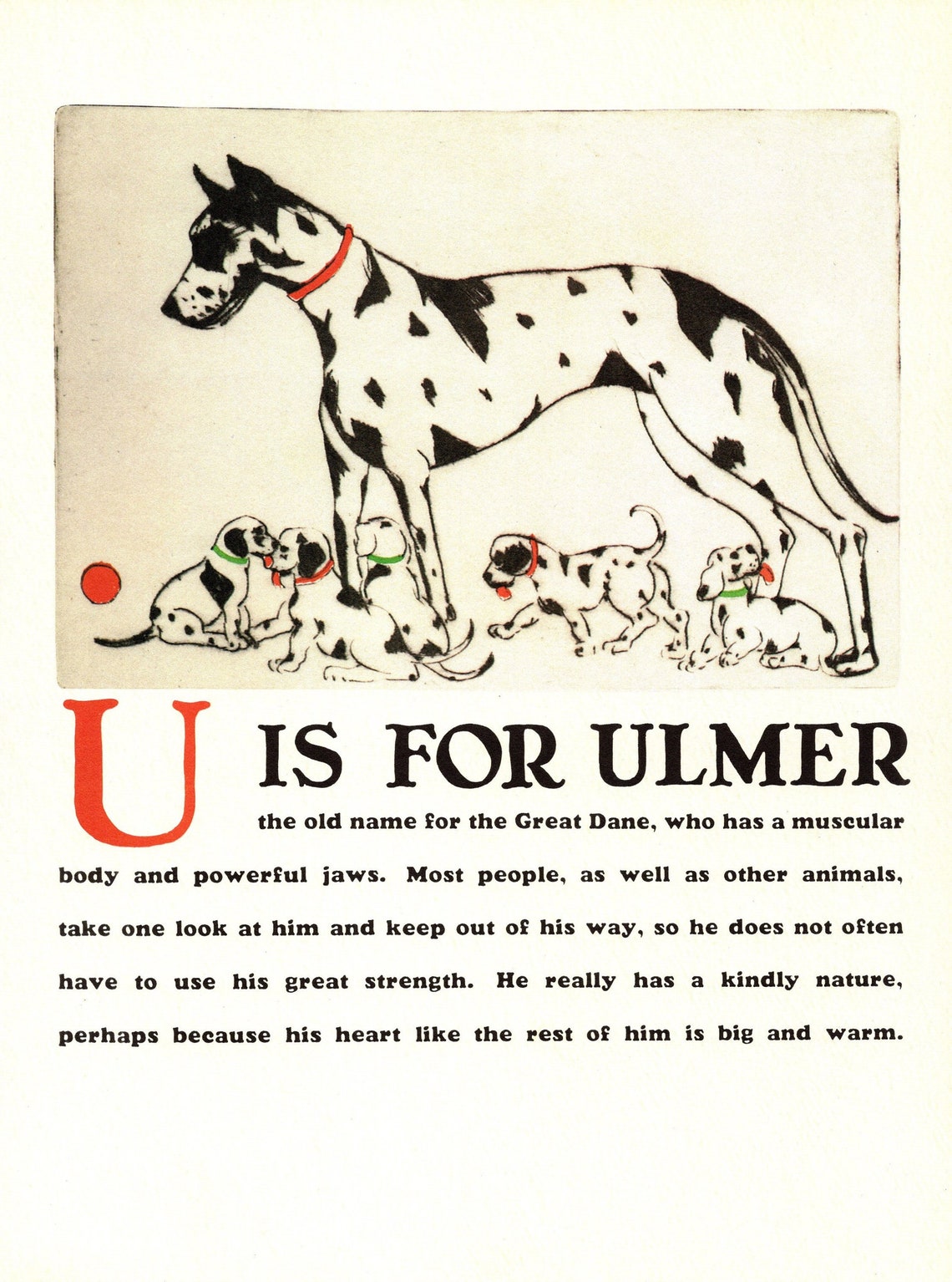 Vintage Great Dane Print Wall Art Decor ABC Letter U Alphabet Print ...