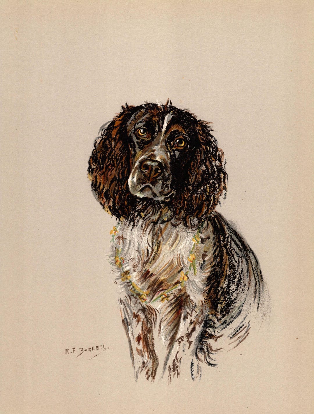 Vintage Springer Spaniel Sketch Print Wall Art Decor 1938 Antique K ...