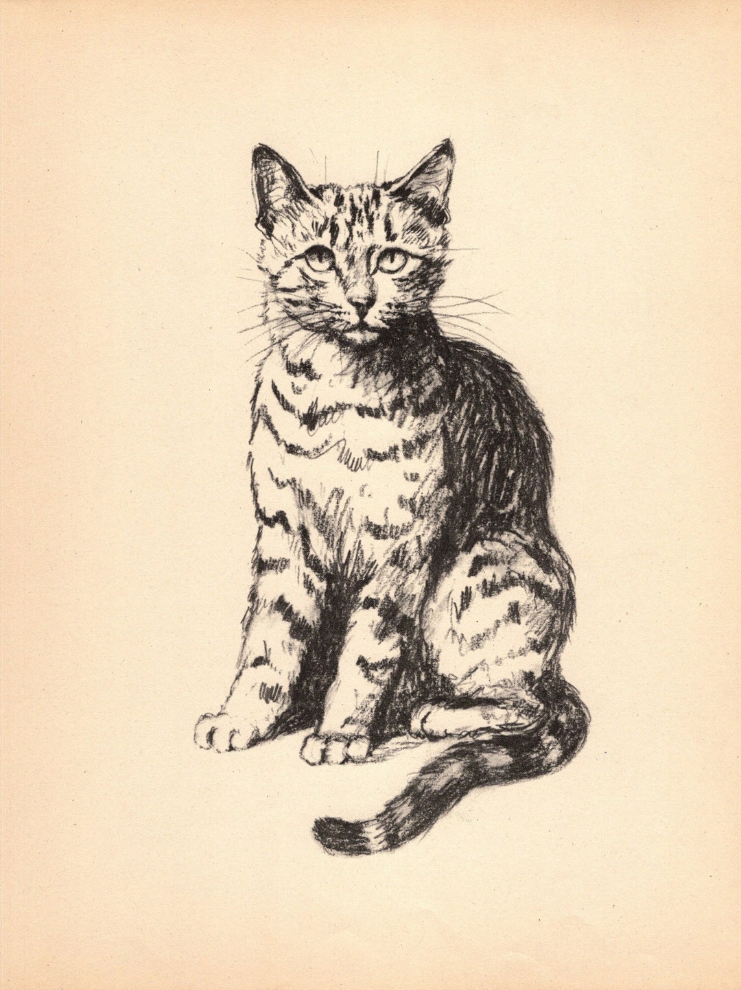 Sweet Tabby Cat Print Striped Cat Wall Art Illustration 1941 Gladys ...
