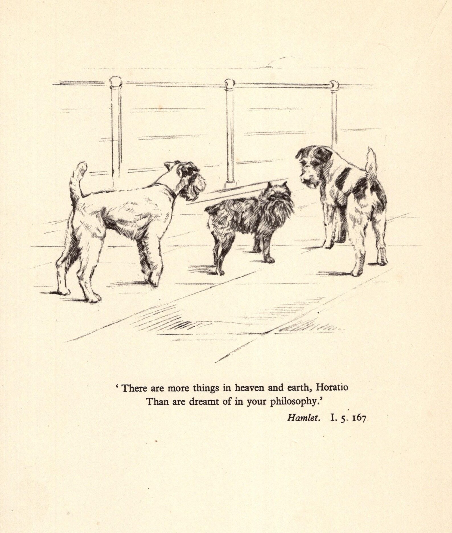 Vintage Fox Terrier and Brussels Griffon Print Gallery Wall Art Decor ...