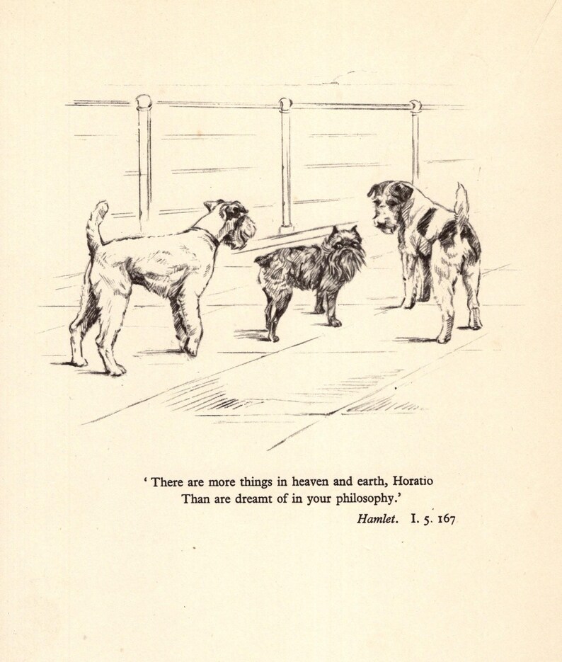 Vintage Fox Terrier and Brussels Griffon Print Gallery Wall Art Decor ...