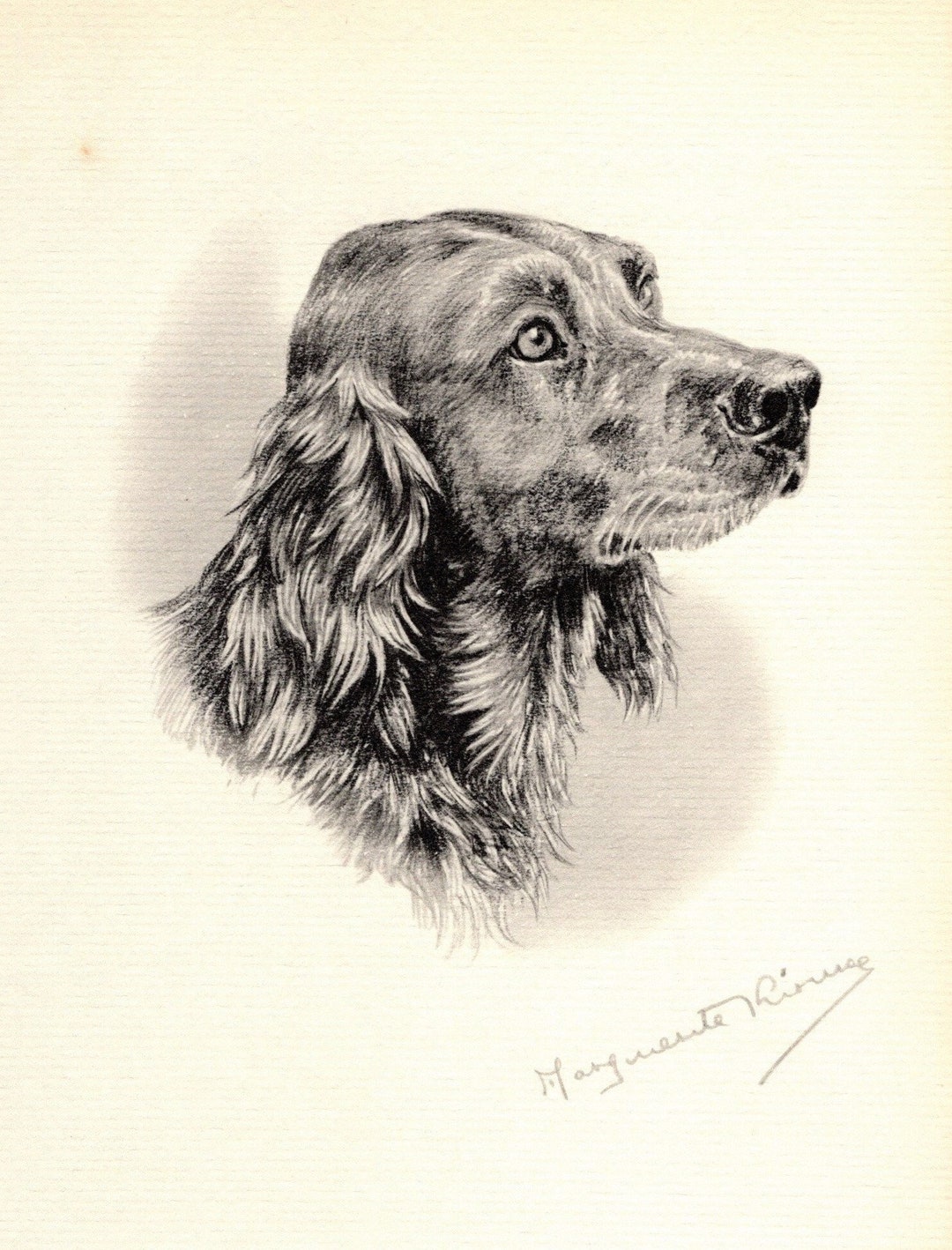 Beautiful Irish Setter Print Wall Art Decor 1938 Marguerite Kirmse ...