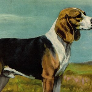 1942 Antique Beagle Print Wall Art Decor Vintage Edwin Megargee Beagle ...