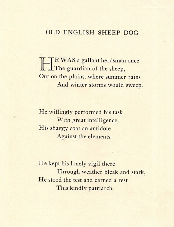1936 Antique Old English Sheepdog Poem Print Old English - Etsy