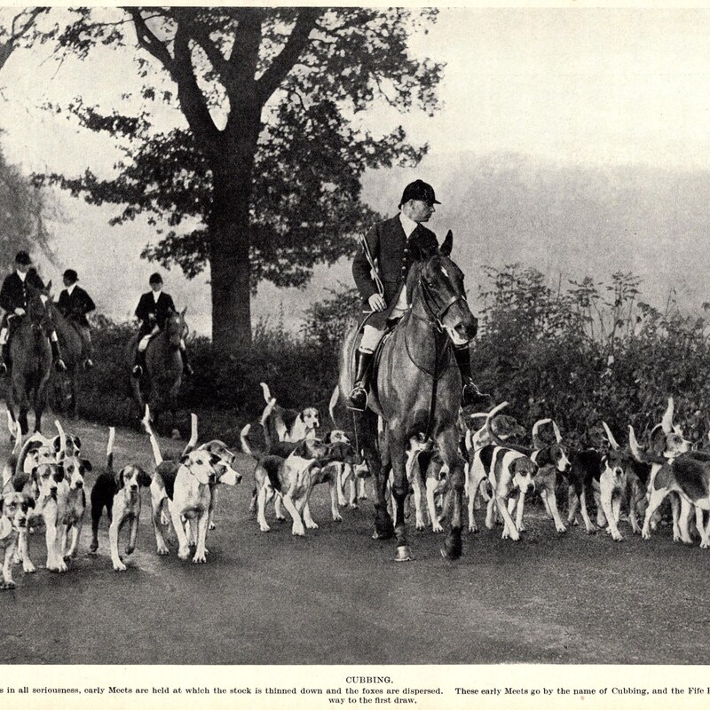 Fox Hunting - Etsy