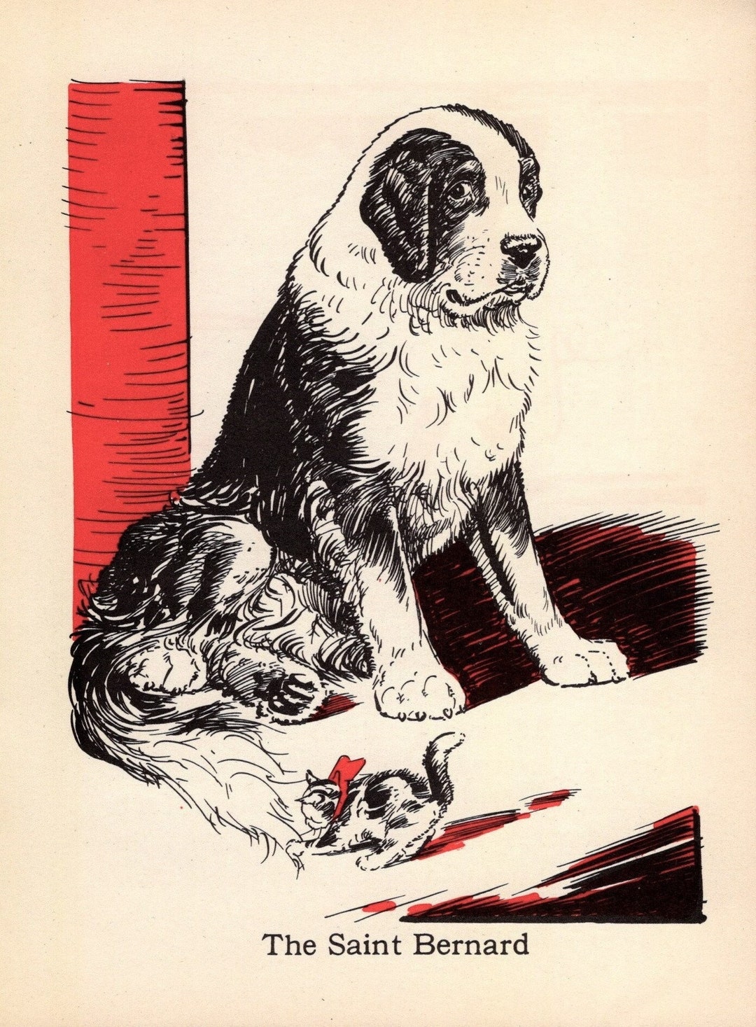 1940 Vintage St Bernard Print Wall Art Decor Diana Thorne - Etsy