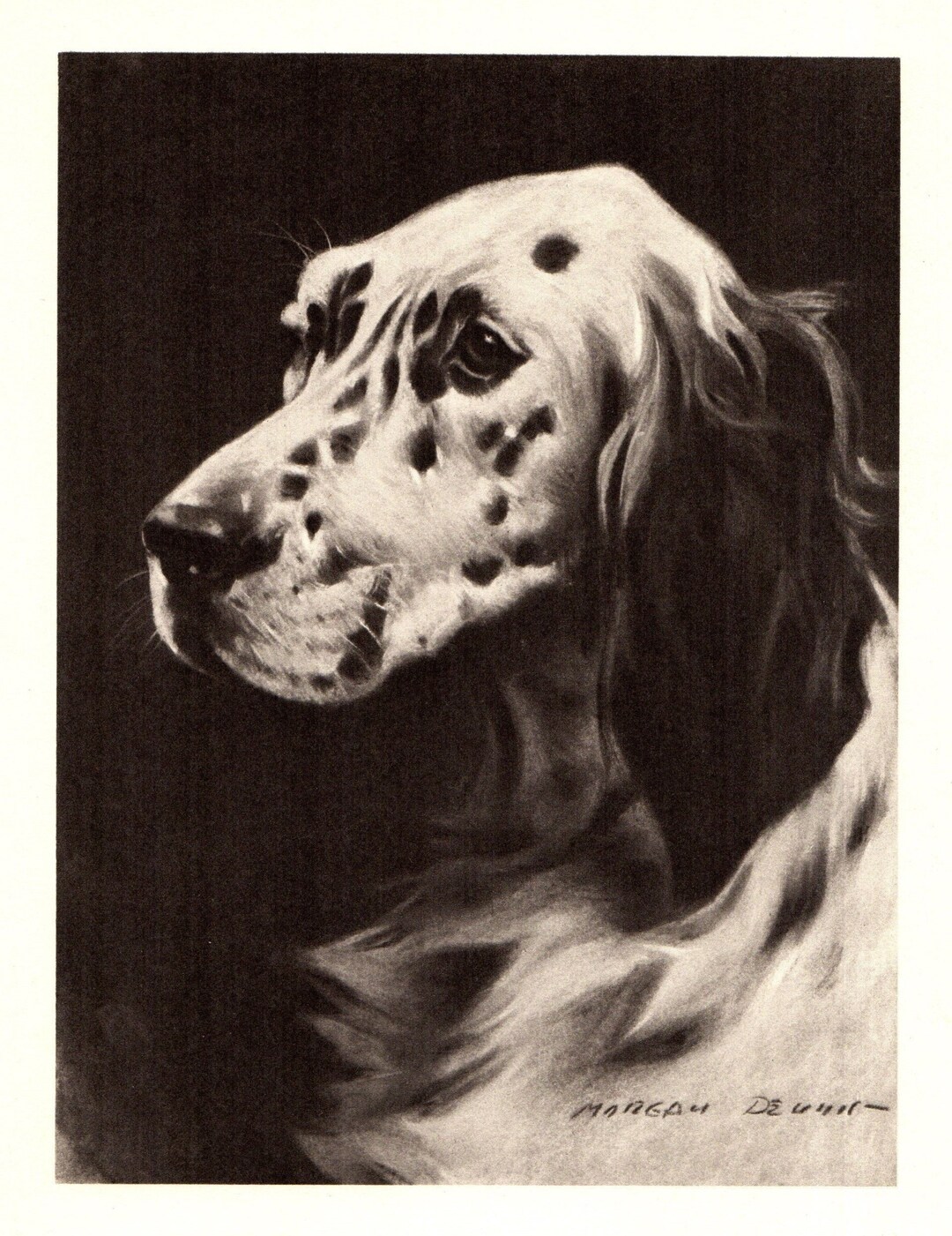 Sweet English Setter Print Wall Art Decor 1940s Morgan Dennis - Etsy