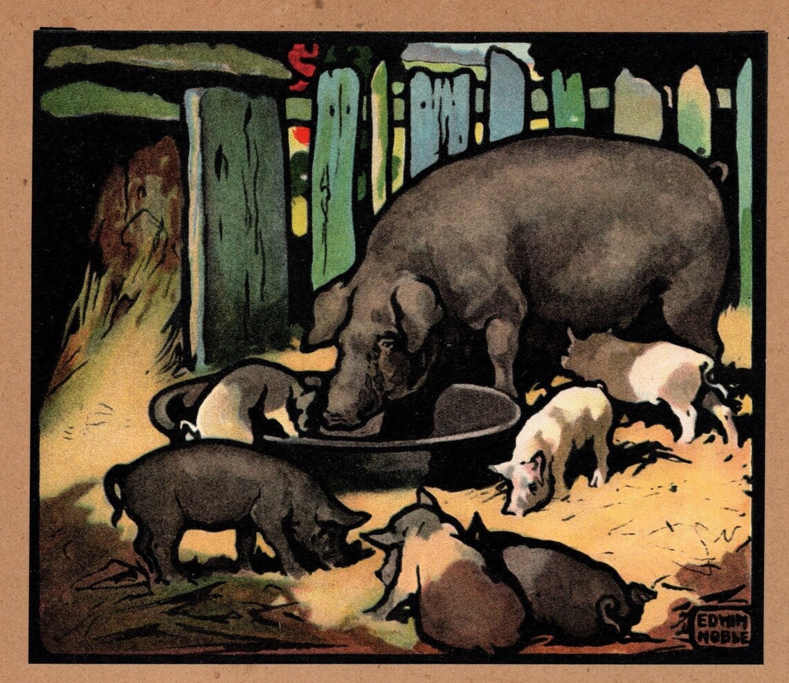 Antique Pig Print Edwin Noble Vintage Pig Farmyard Art | Etsy