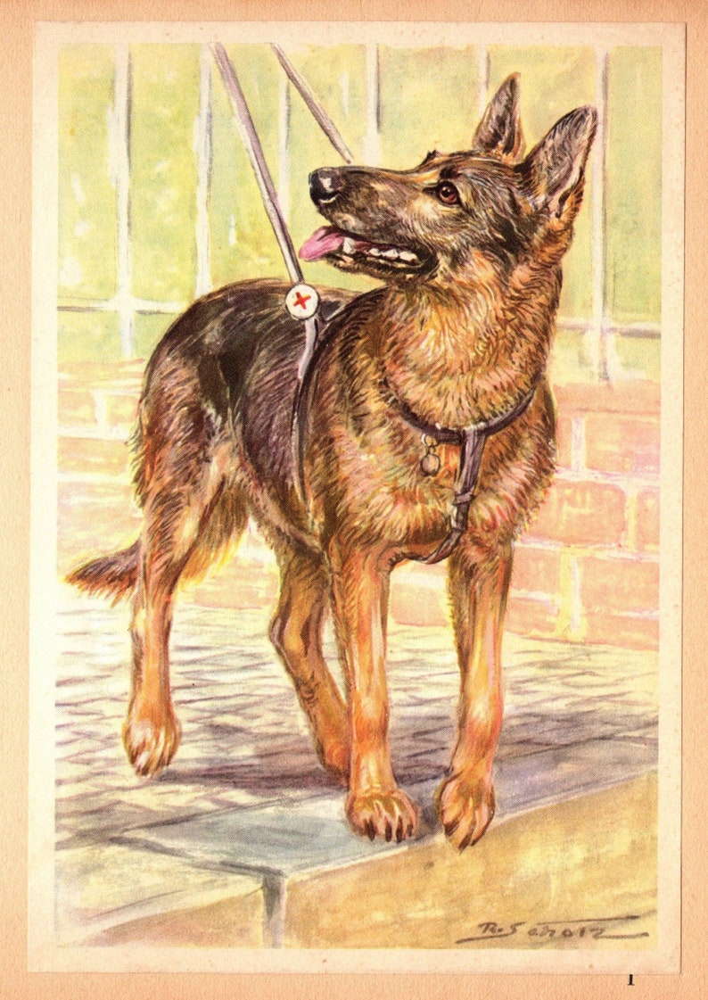Vintage German Shepherd Print Wall Art Decor Scholz German - Etsy