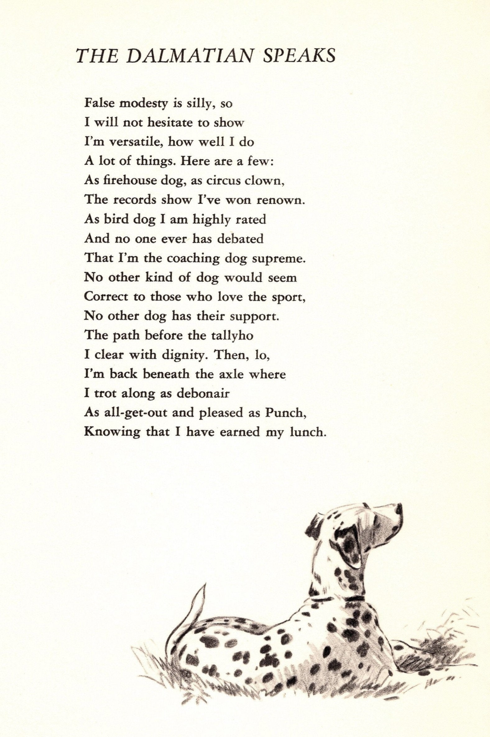 I Am An Animal Rescuer Poem
