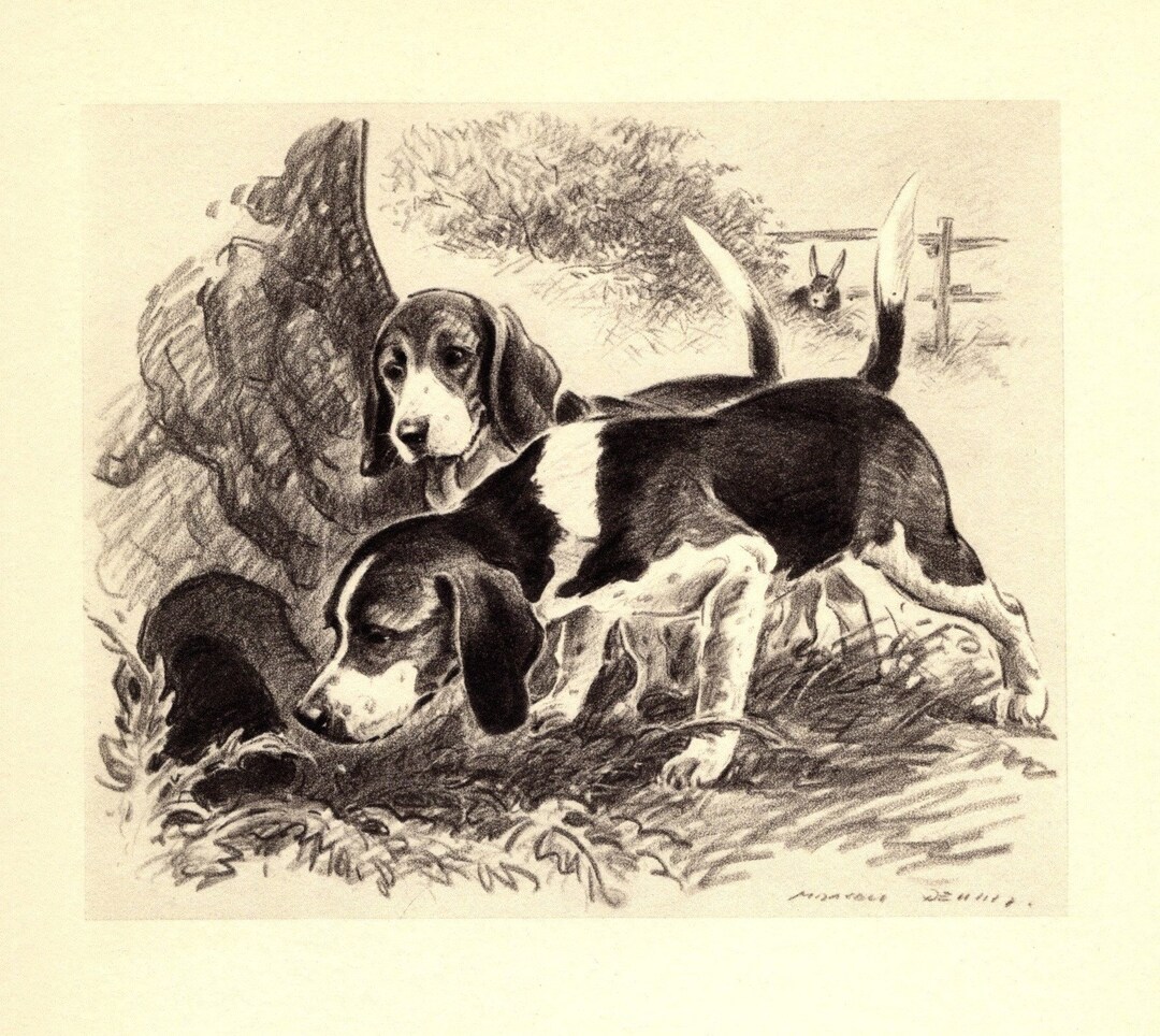 1940s Vintage Beagle Print Wall Art Decor Morgan Dennis Beagle ...