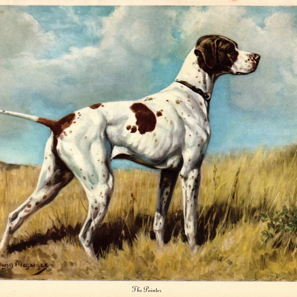 English Pointer Art - Etsy