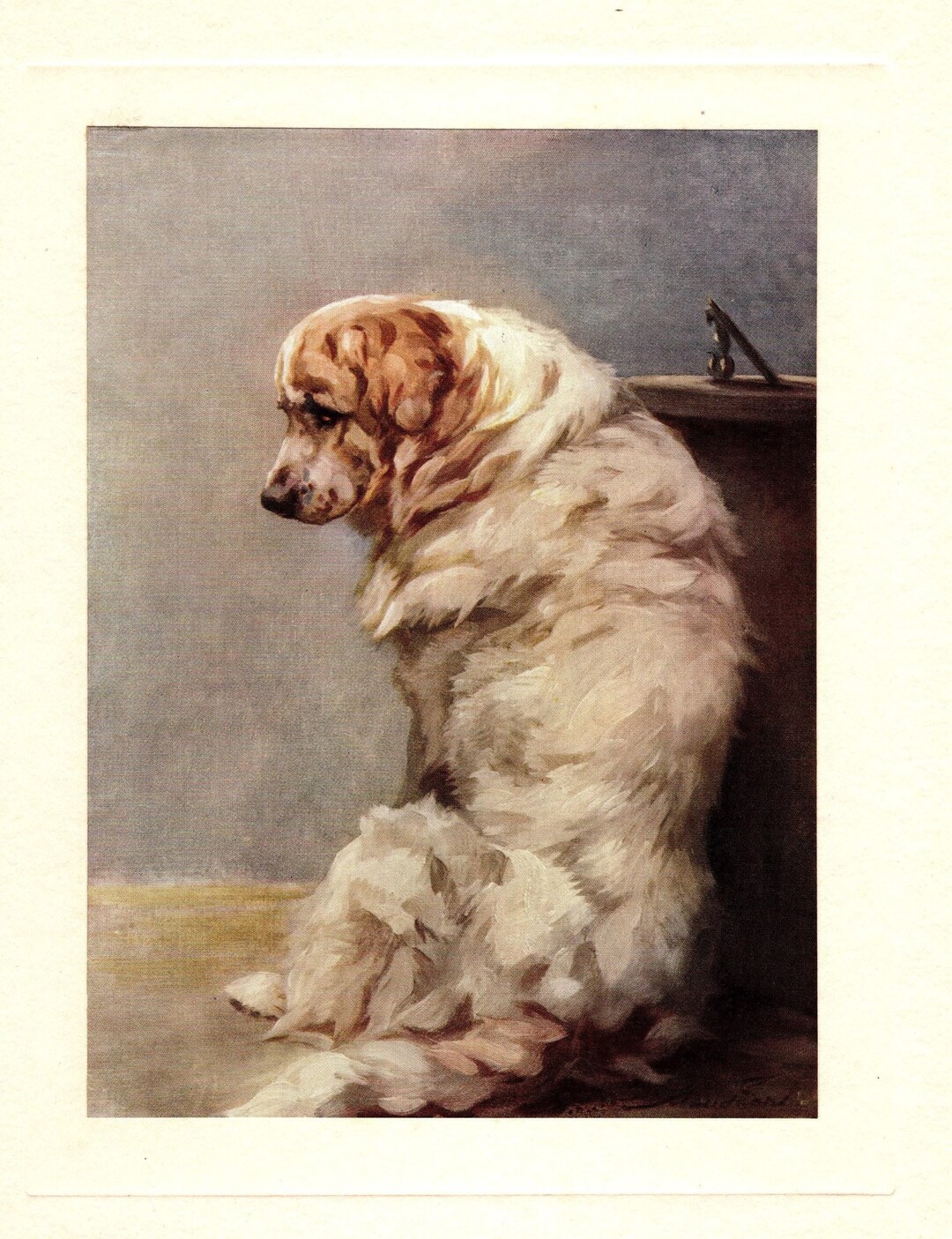 C1910 Antique Great Pyrenees Print Lovely Maud Earl Pyrenees ...