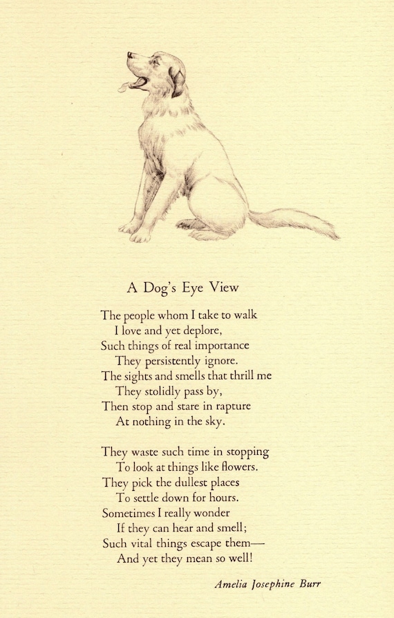 Dog Memorial Poems