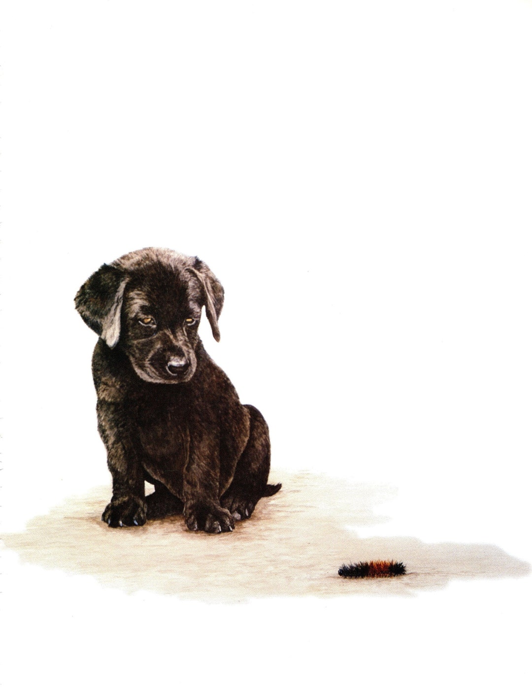 Vintage Labrador Retriever Print Gallery Wall Art Decor Black Lab Puppy ...