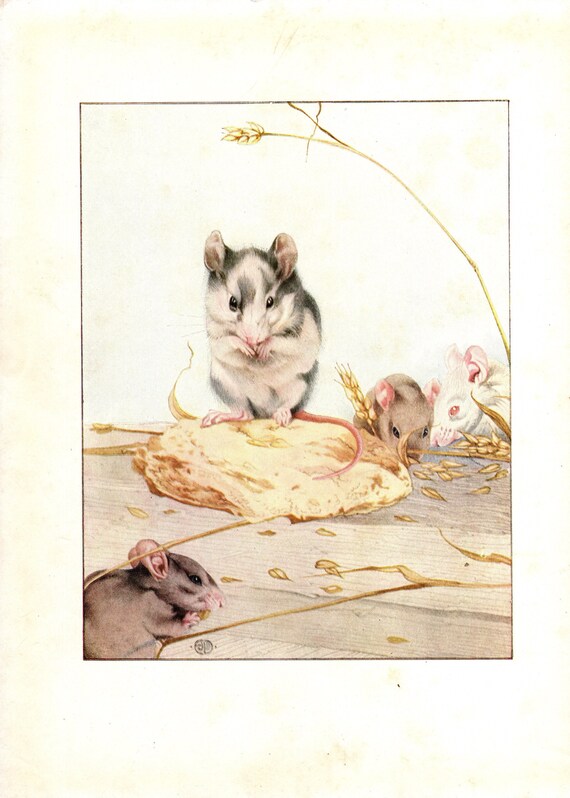 Vintage Mouse Illustration