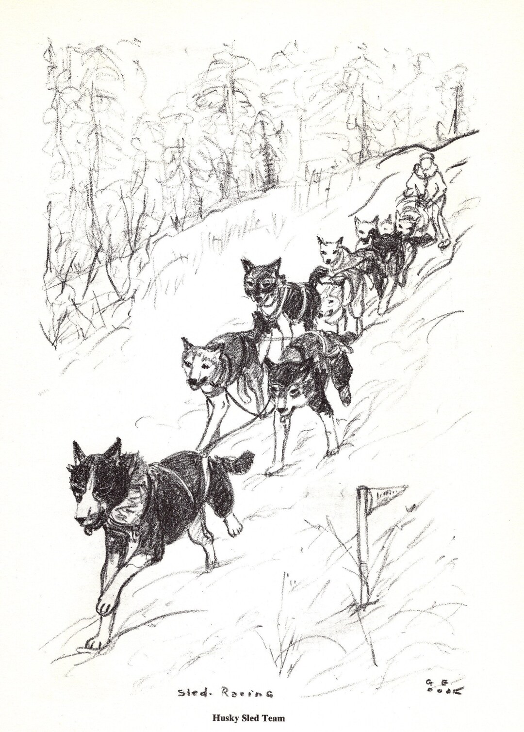 Vintage Husky Sled Dog Print Dog Sledding Illustration Art 1962 Gladys ...