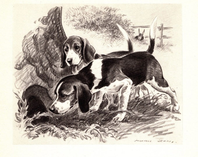 1940s Antique Irish Setter Poetry Print Wall Art Decor Morgan - Etsy