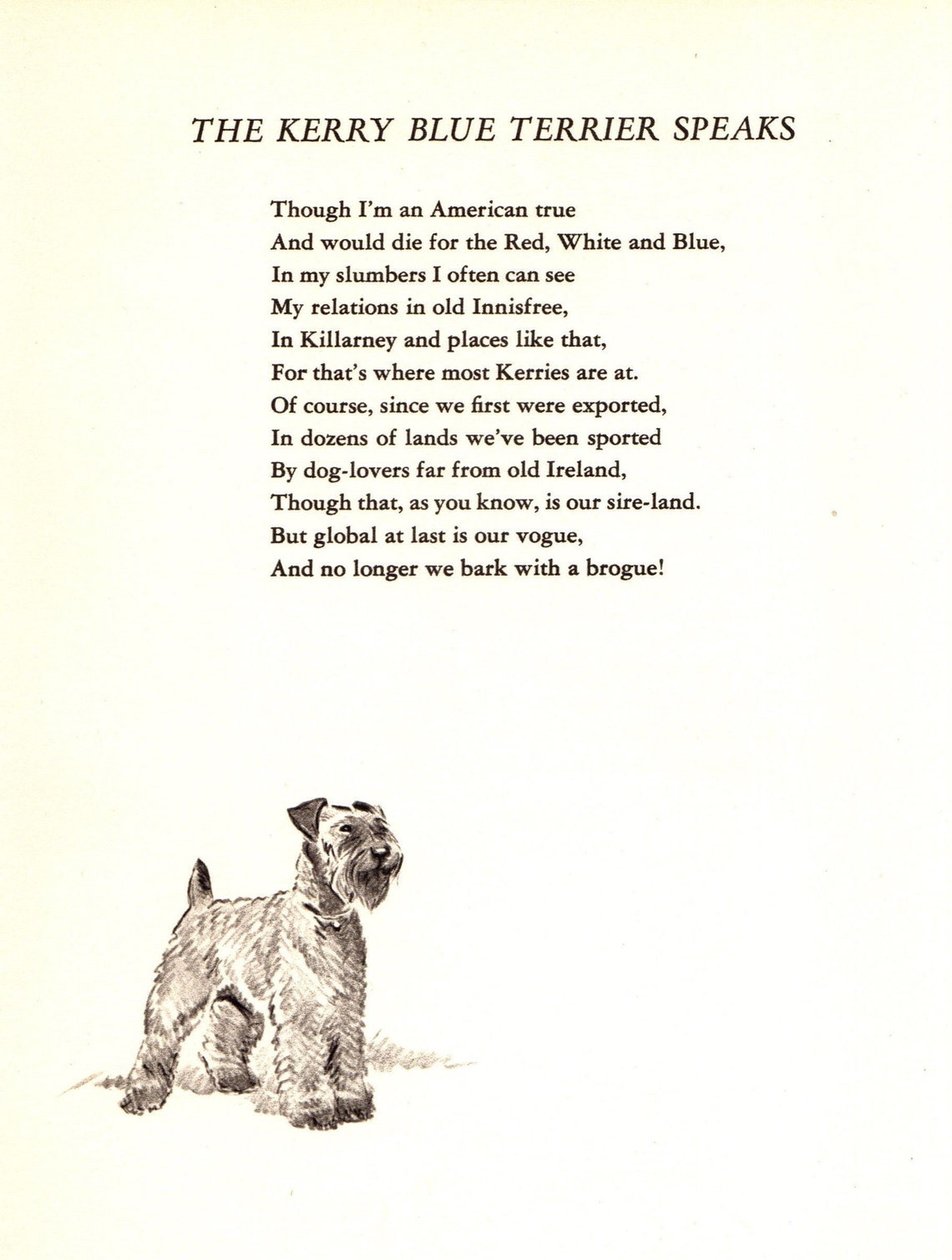 1940s KERRY BLUE Terrier Poetry Print Morgan Dennis Kerry Blue | Etsy