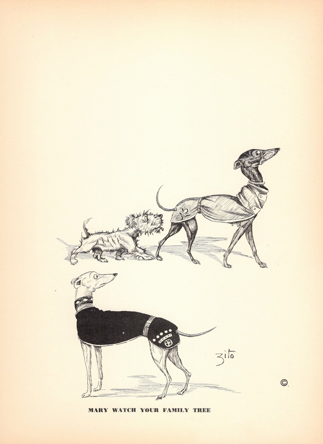 Funny Greyhound or Whippet Print Wall Art Decor 1940s Humorous ...