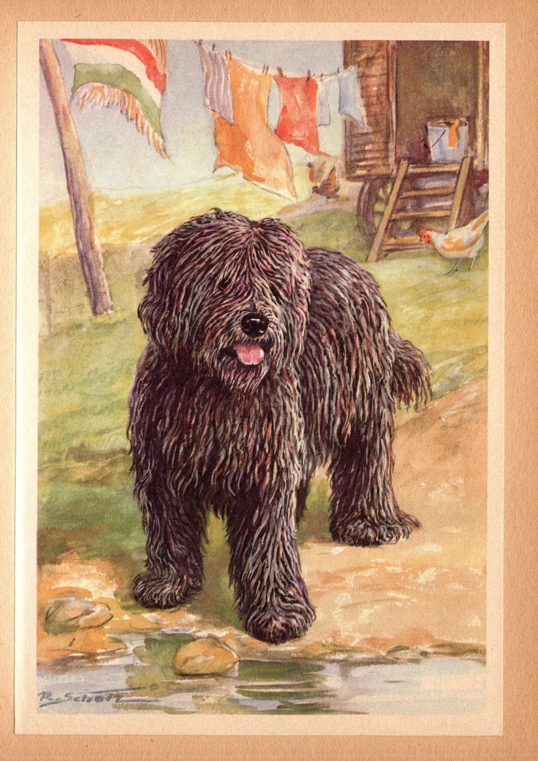 Vintage Puli Print Wall Art Decor Scholz Puli Dog Art Illustration ...