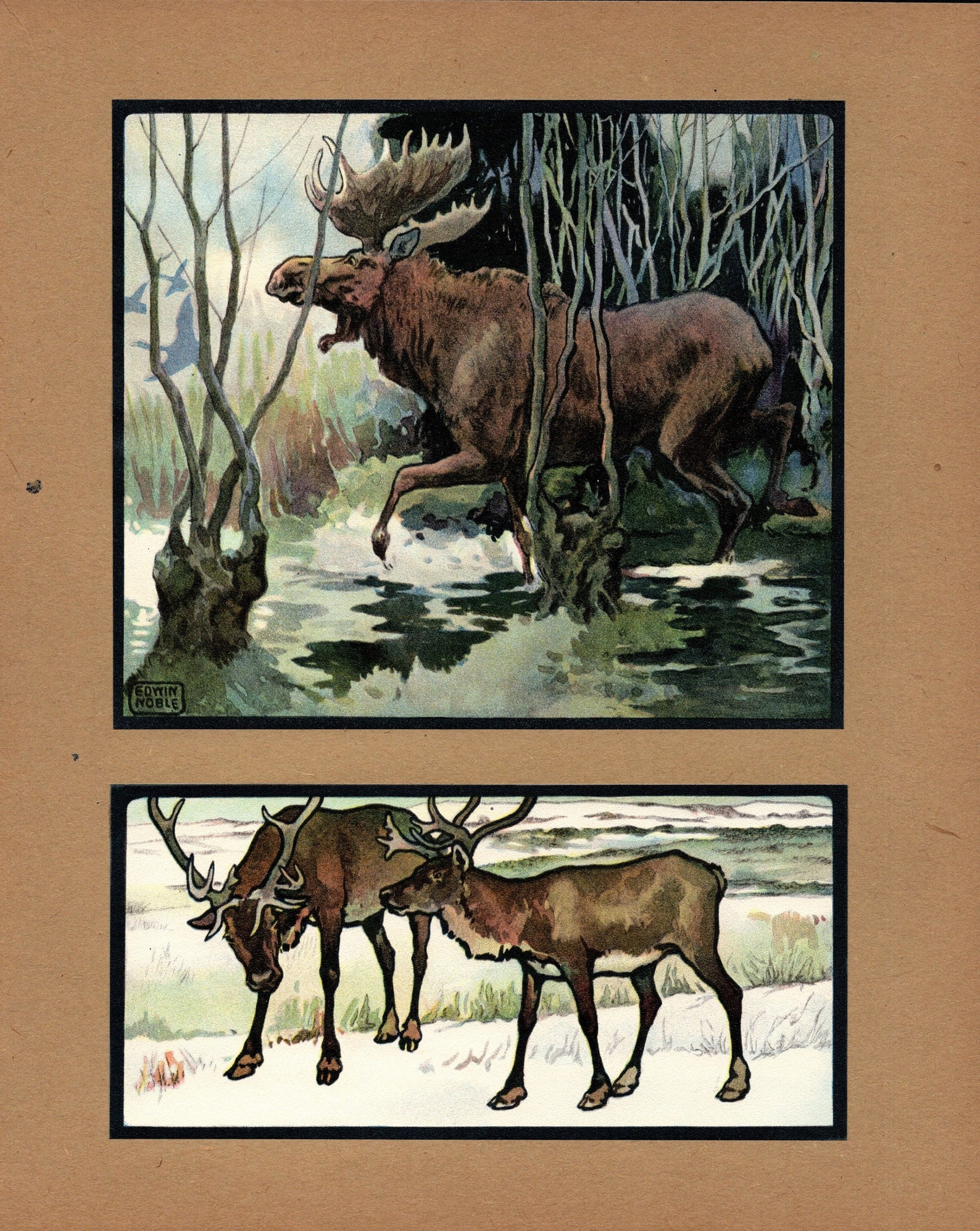 Antique Reindeer Print Wall Art Decor Edwin Noble Moose Art - Etsy