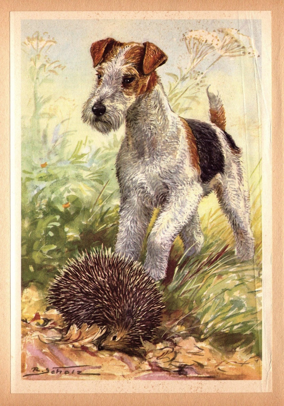 Vintage Fox Terrier and Hedgehog Print Wall Art Decor Scholz Fox ...