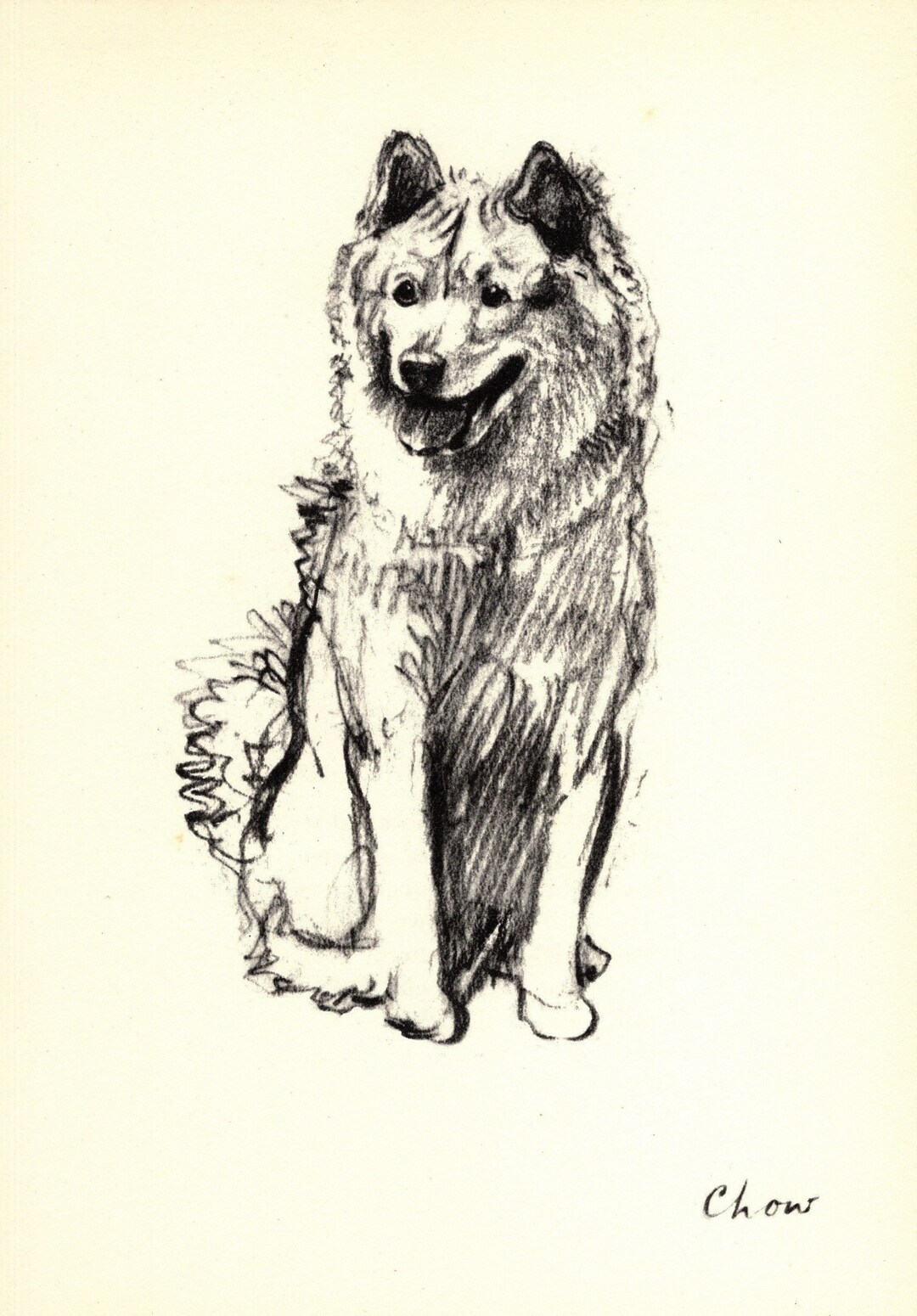 1930s Cecil Aldin Chow Print Wall Art Decor Vintage Chow Art ...