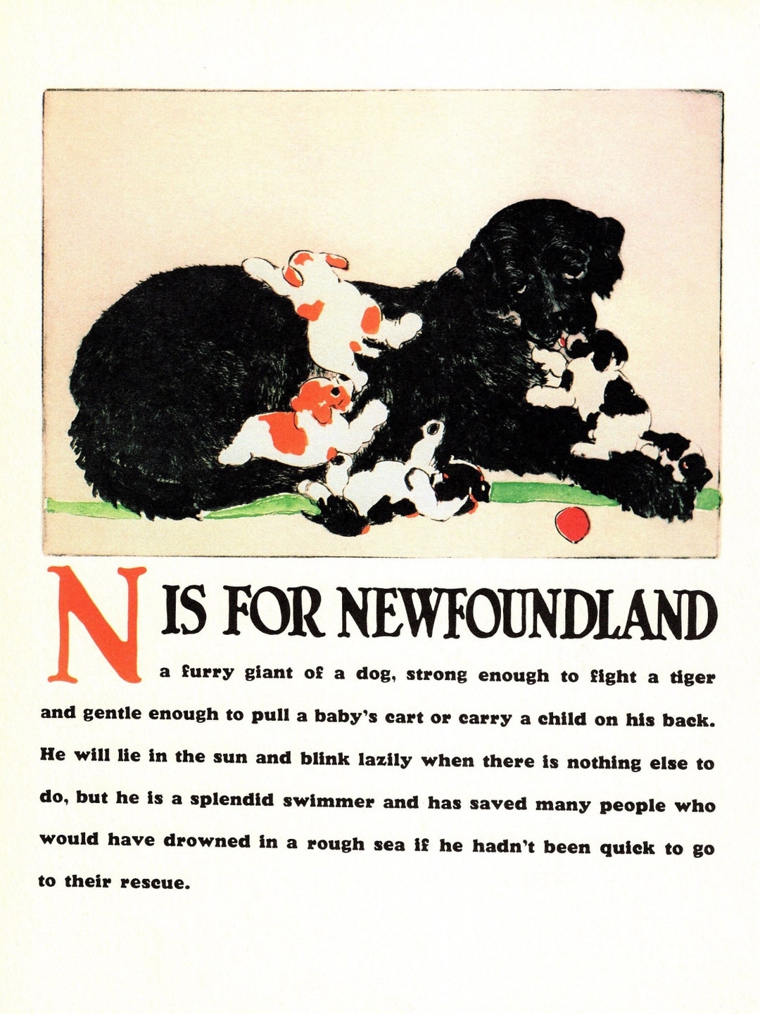 Vintage Newfoundland Print ABC Letter N Alphabet Newfoundland ...