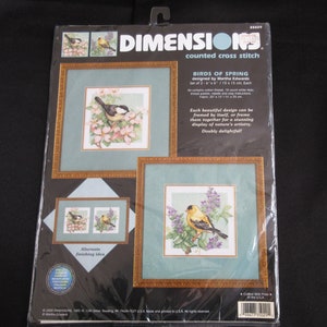 Dimensions Cross Stitch Kit 35029 Birds of Spring, Pair of 6 Square ...