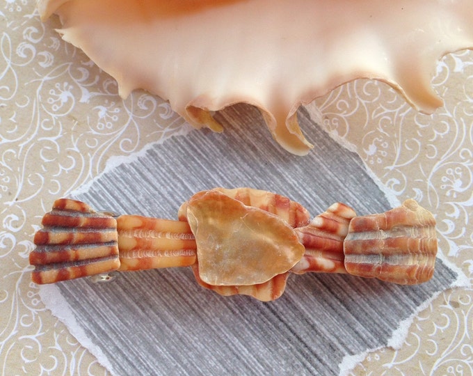 Seashell Barrette Handmade Seashell Hair Clip Orange Red - Etsy
