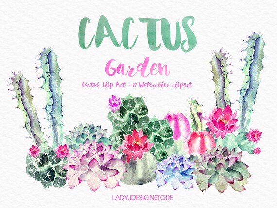 Cactus clipart - 17 Watercolor clipart Cacti, Plants for invitations ...