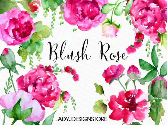 Hand Painted Watercolour Rose Clipart - Blush Rose -Clip Art-18 Hand ...