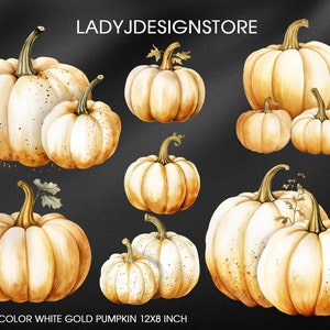 Watercolor White Gold Pumpkin Clip Art Gold Pumpkins Clipart - Etsy