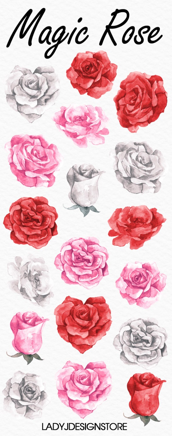 Magic Watercolor Rose Flowers Clip Art-18 Hand drawn | Etsy