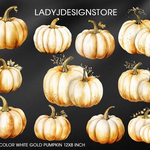 Watercolor White Gold Pumpkin Clip Art Gold Pumpkins Clipart - Etsy