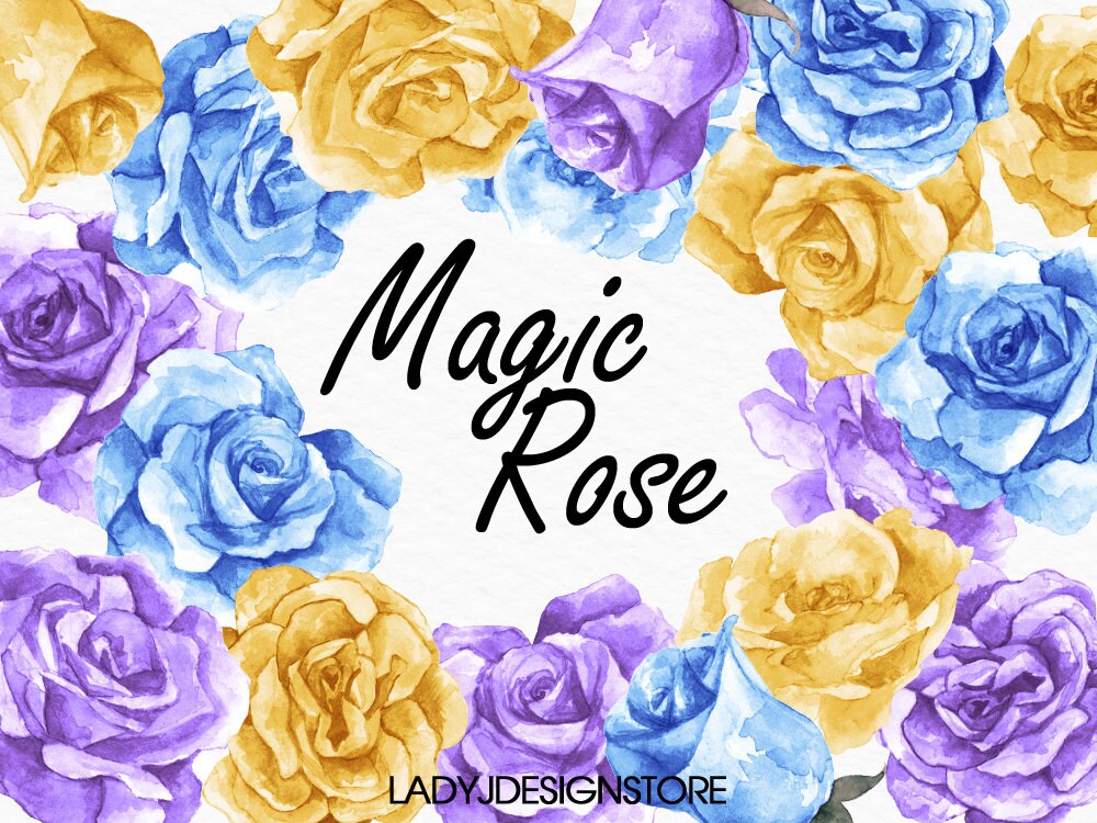Magic Watercolor Rose Flowers Clipart-18 Hand Drawn Watercolor - Etsy