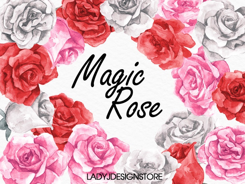 Magic Watercolor Rose Flowers Clip Art-18 Hand Drawn - Etsy