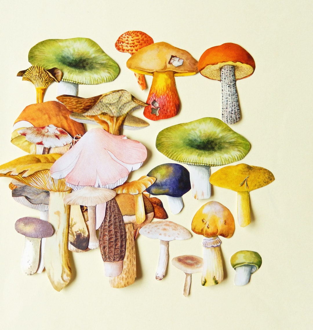 Mushrooms Fungi Paper Ephemera Craft Pack / Supplies / - Etsy Australia